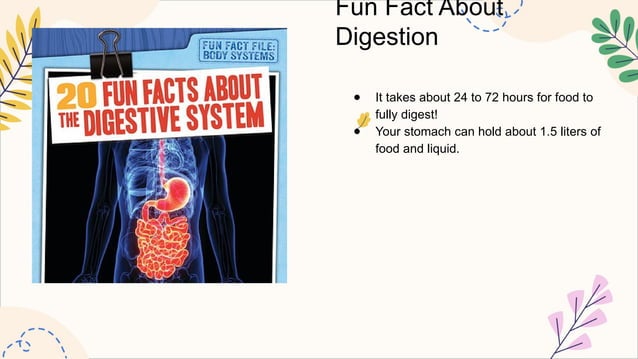 Digestive System - 6th grade........pptx | Digestive Disorders ...