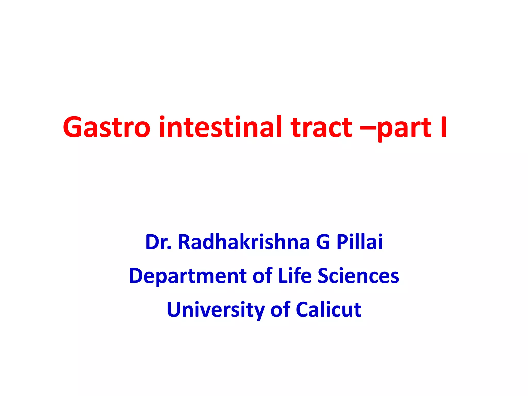 Digestive system basics | PPTX