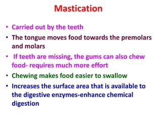 Digestive system basics | PPTX
