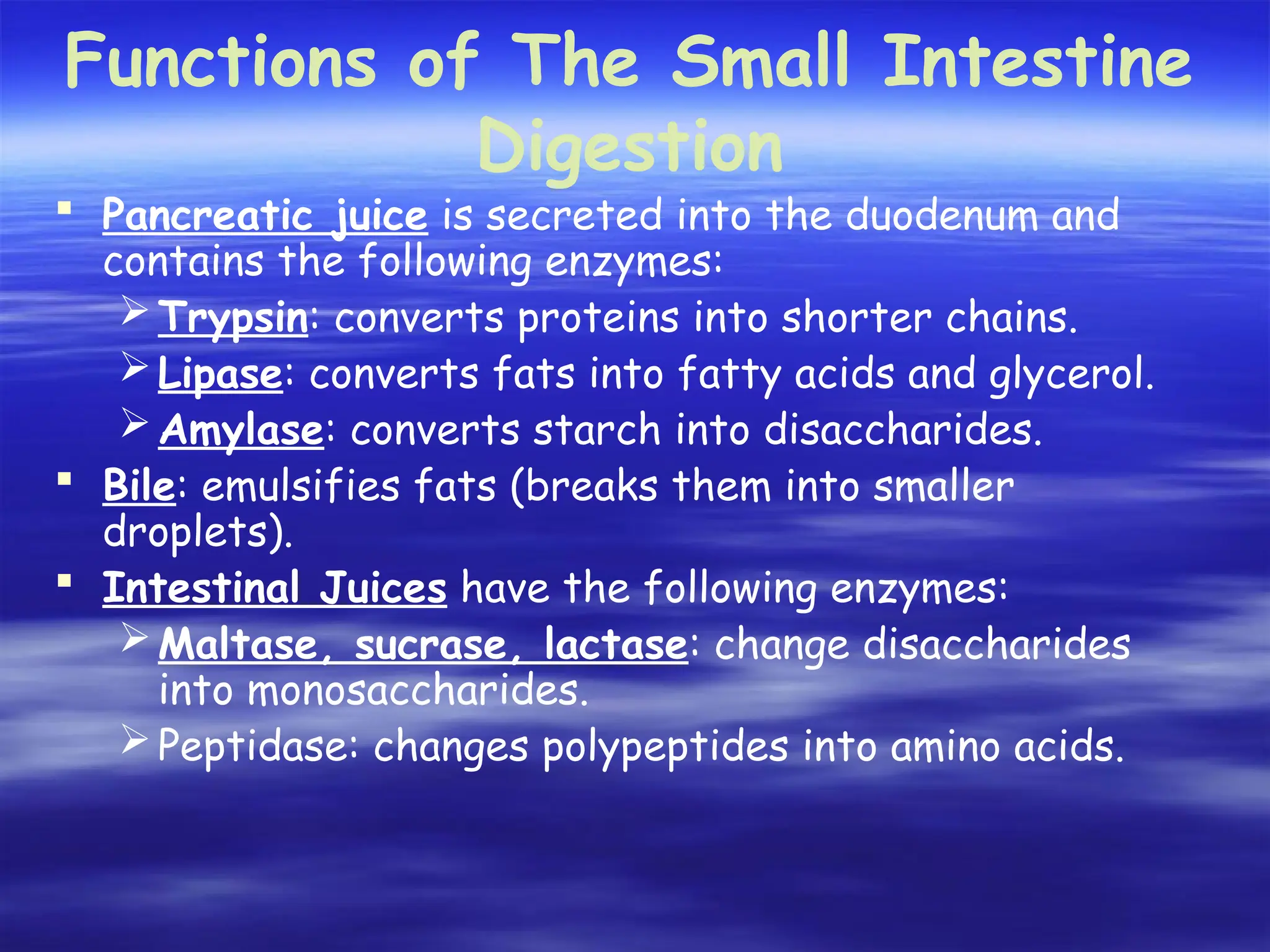 Digestive System - Digestion of carbohydrates, proteins and lipids.ppt