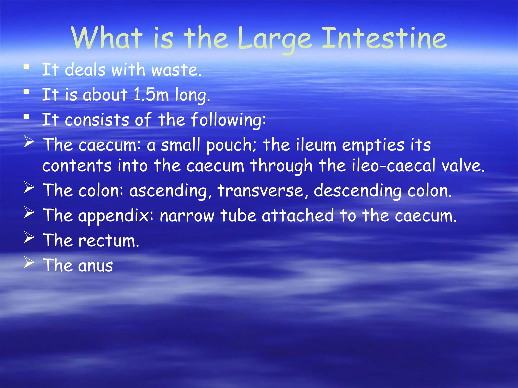 Digestive System - Digestion of carbohydrates, proteins and lipids.ppt