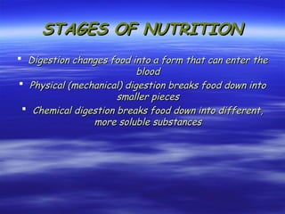 Digestive System - Digestion of carbohydrates, proteins and lipids.ppt