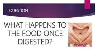 Grade 8 Science: Digestive System | PPTX