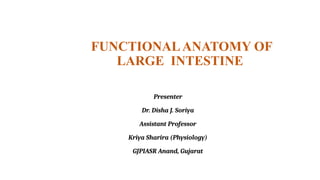 Digestive System- Functional Anatomy of LARGE INTESTINE.pptx