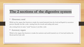 digestive system malak ahmed elbassal 8A | PPT