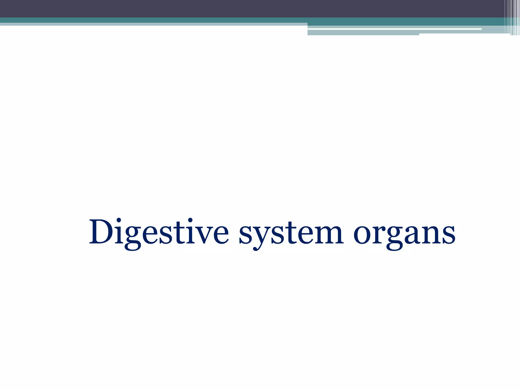 Digestive system -Basic introduction | PPT
