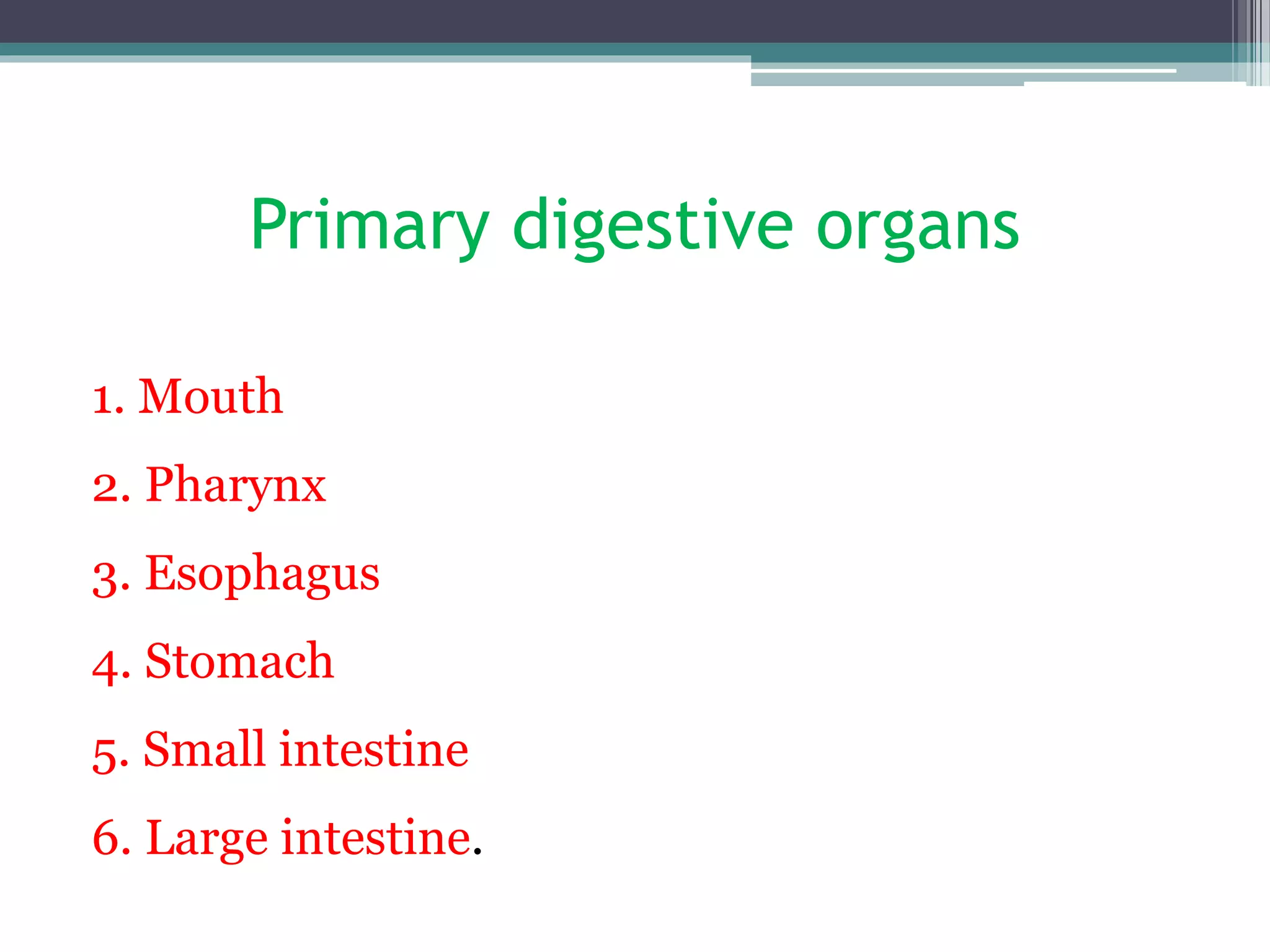 Digestive system -Basic introduction | PPTX | Digestive Disorders ...