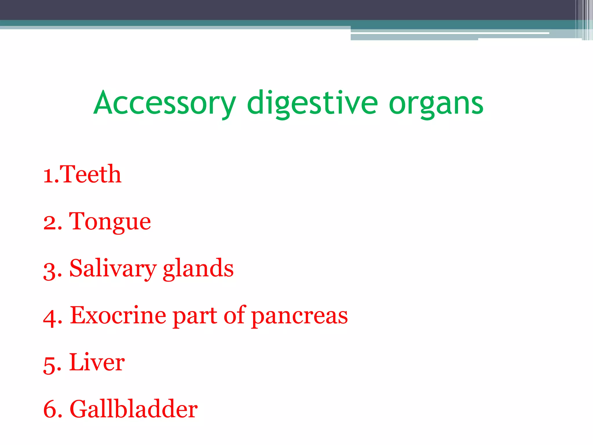 Digestive system -Basic introduction | PPTX | Digestive Disorders ...