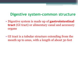 Digestive system -Basic introduction | PPT