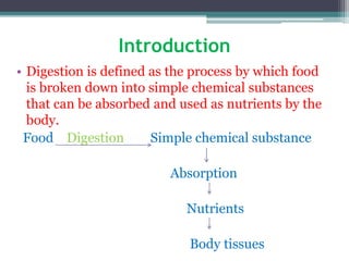 Digestive system -Basic introduction | PPTX