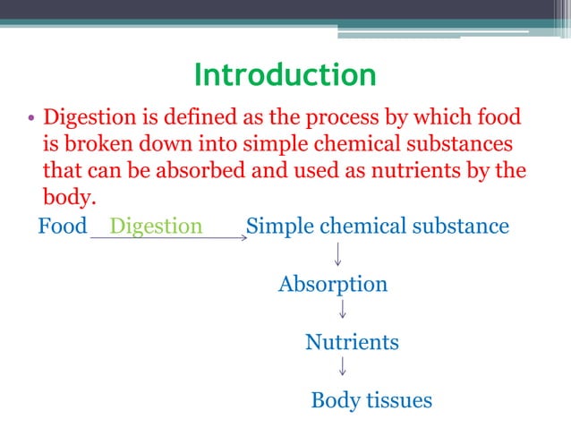 Digestive system -Basic introduction | PPTX | Digestive Disorders ...