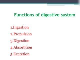 Digestive system -Basic introduction | PPT