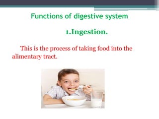 Digestive system -Basic introduction | PPT