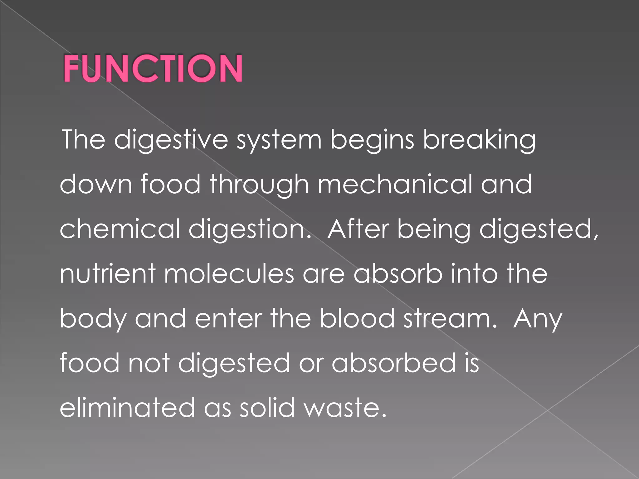 Digestive system presen.08