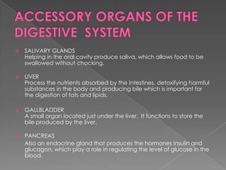 Digestive system presen.08