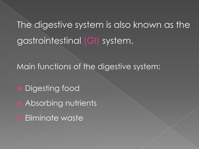 Digestive system presen.08