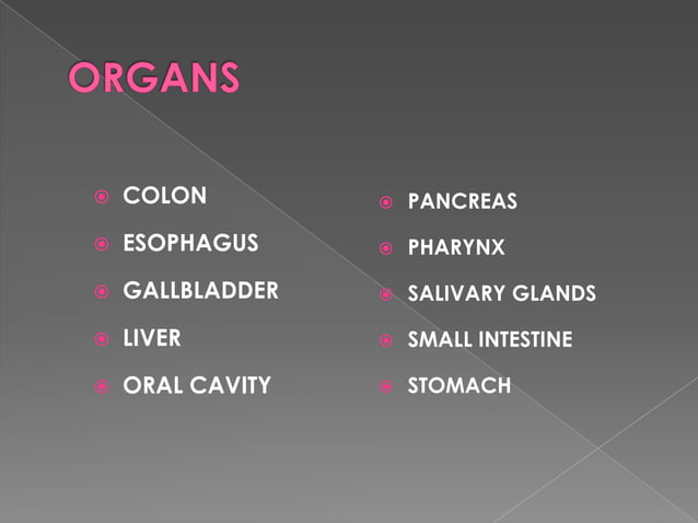 Digestive system presen.08