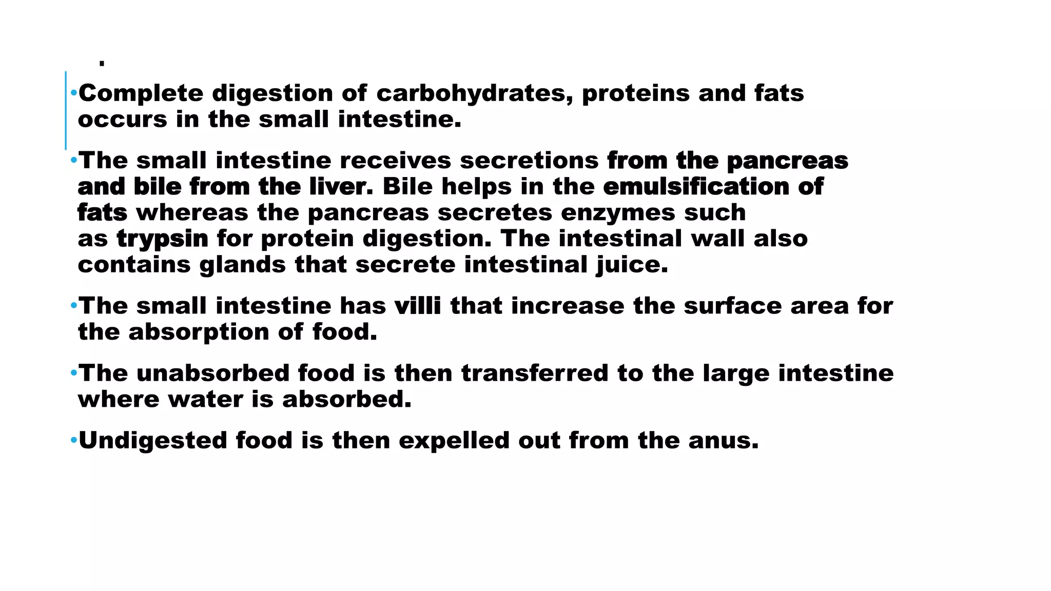 digestive system class 10 | PPTX