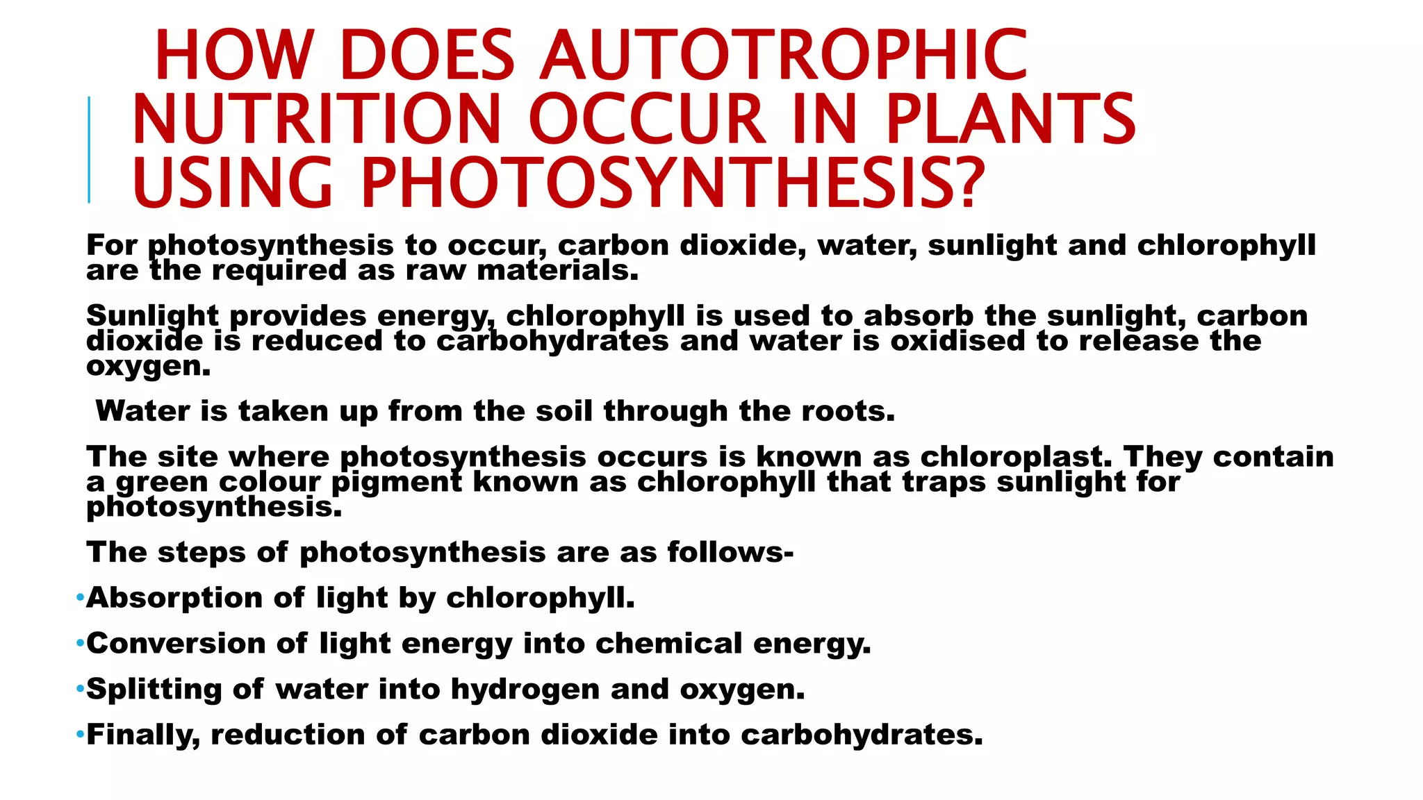 digestive system class 10 | PPTX
