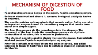digestive system class 10 | PPTX