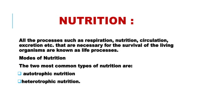 digestive system class 10 | PPTX