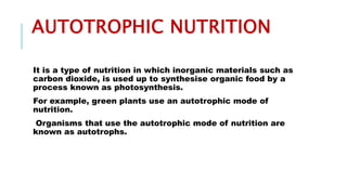 digestive system class 10 | PPTX