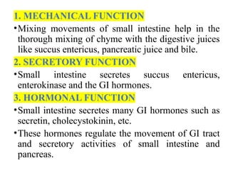 Digestive System - Functional Anatomy of SMALL INTESTINE.pptx