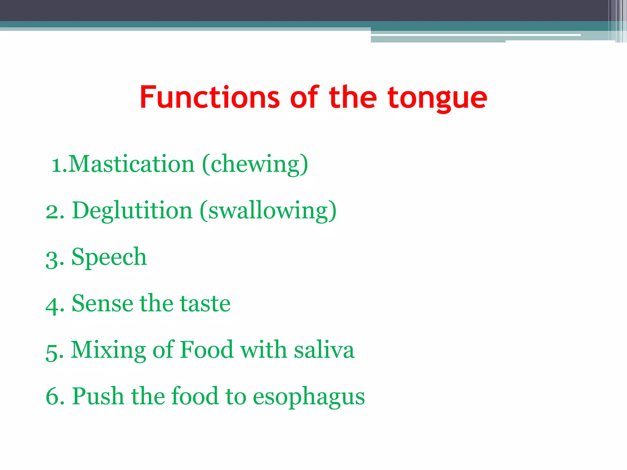 Digestive system -Part II | PPTX