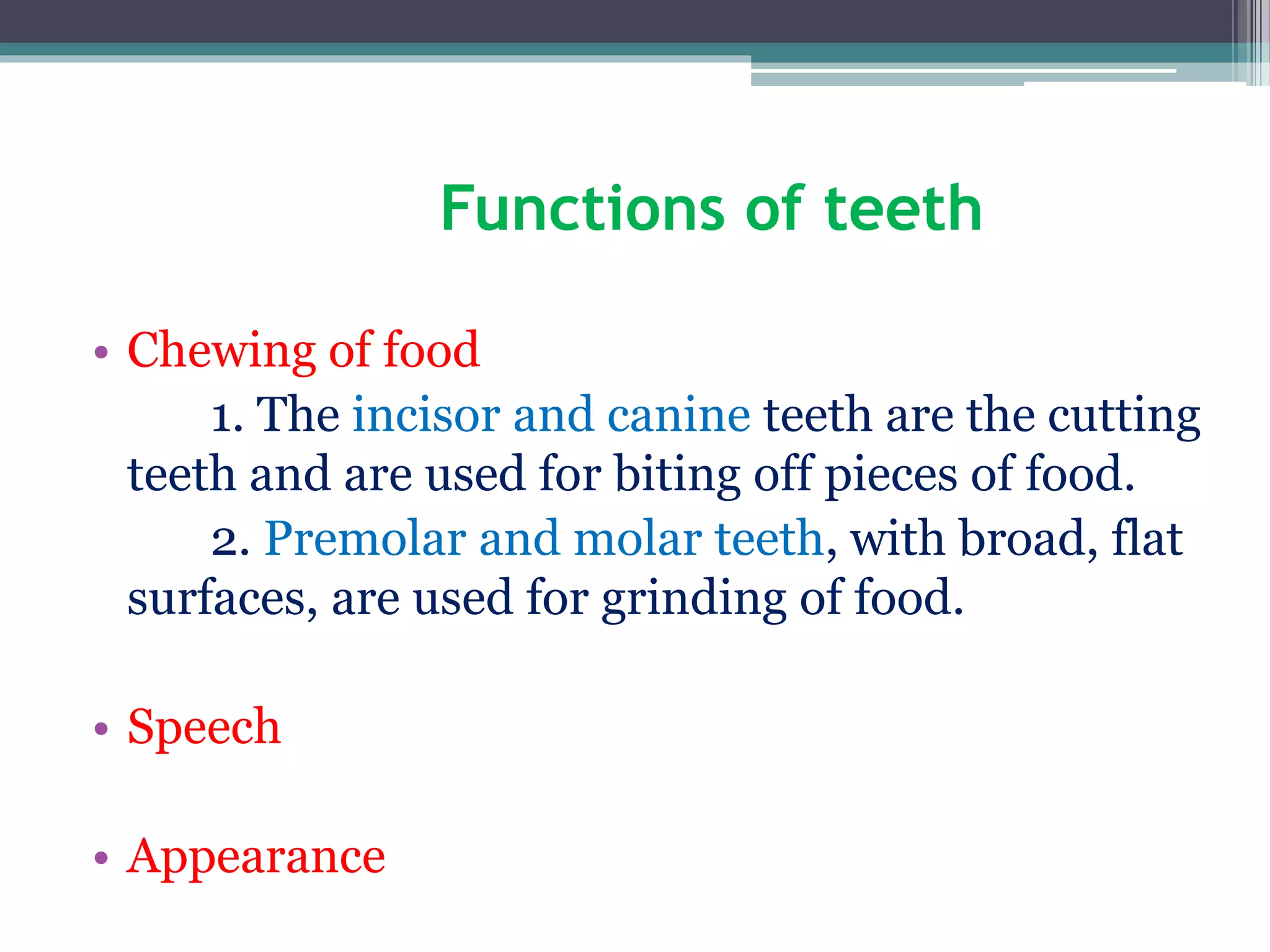 Digestive system -Part II | PPTX