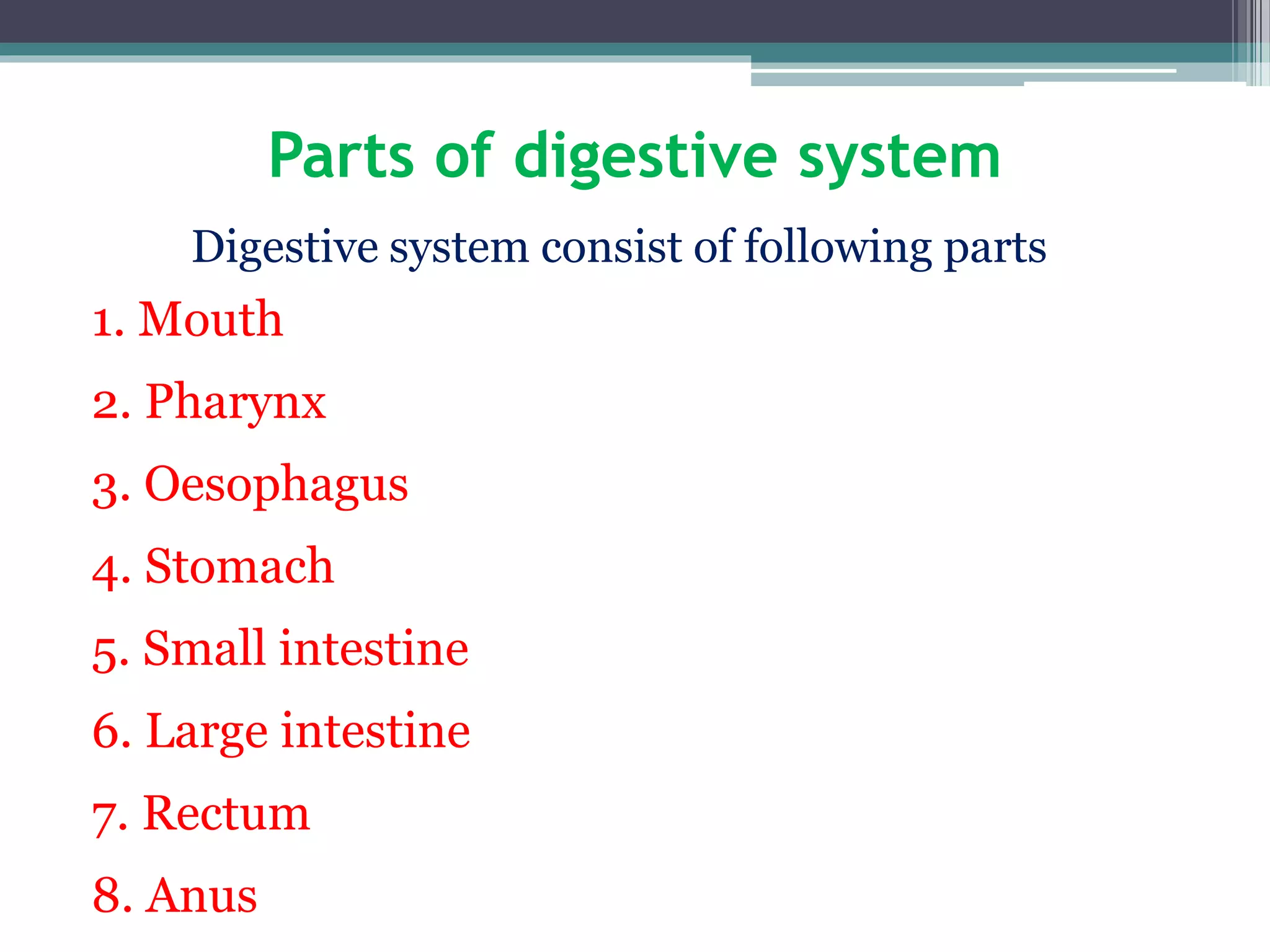 Digestive system -Part II | PPTX
