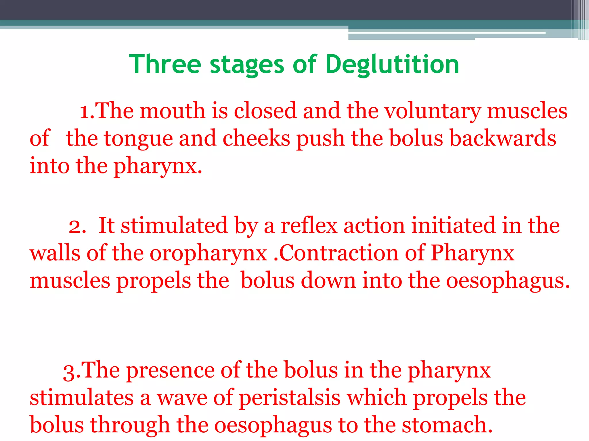Digestive system -Part II | PPTX
