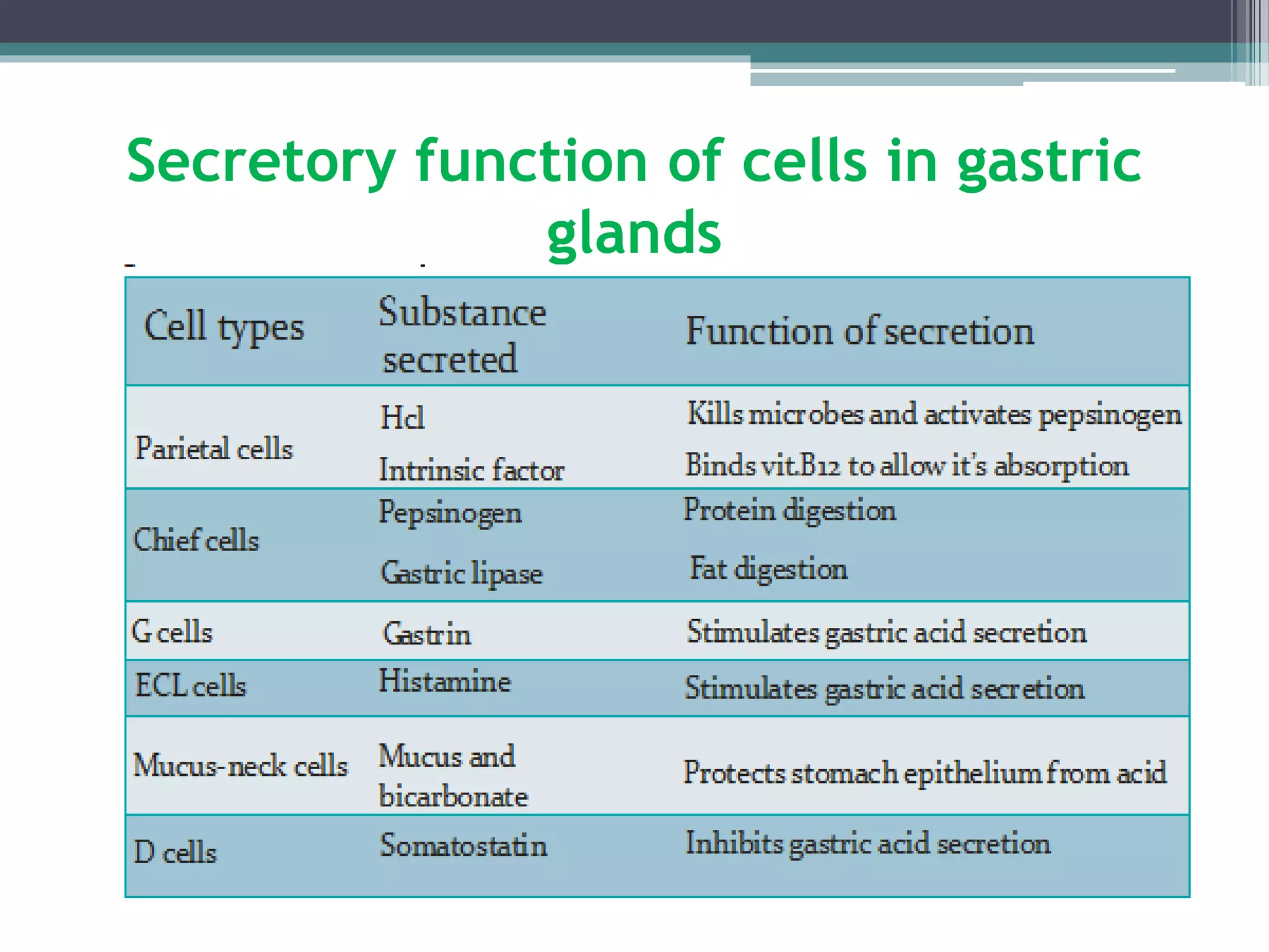 Digestive system -Part II | PPTX