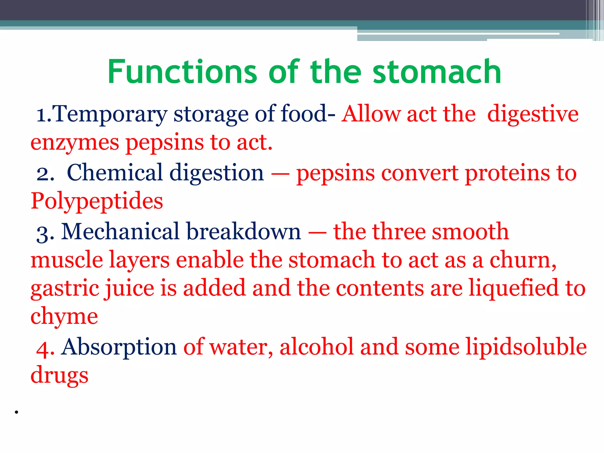 Digestive system -Part II | PPTX