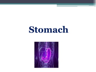 Digestive system -Part II | PPTX