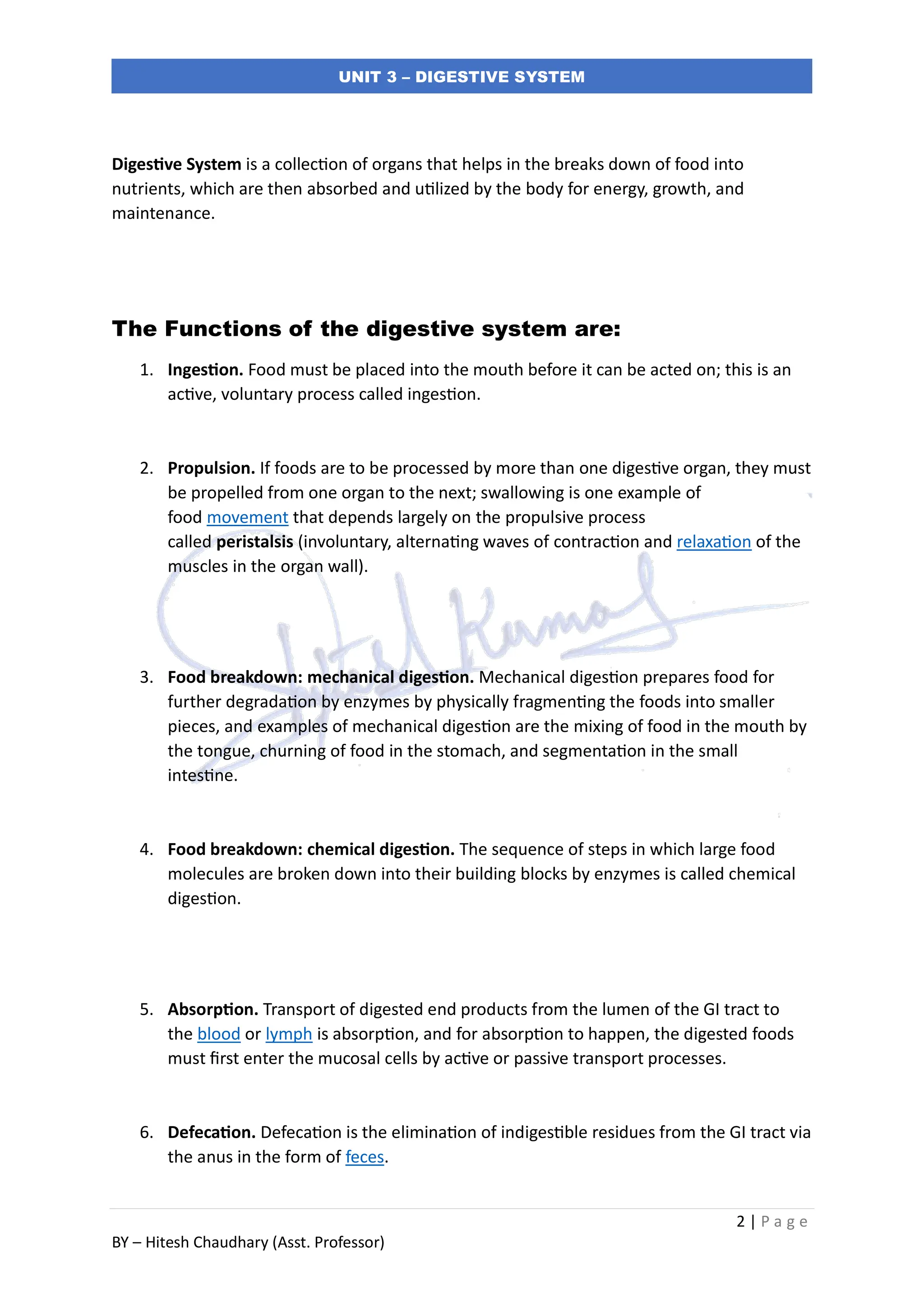 Digestive System - Unit 3 of Anatomy & Physiology for Nursing Students ...