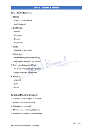 Digestive System - Unit 3 of Anatomy & Physiology for Nursing Students ...