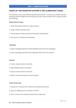 Digestive System - Unit 3 of Anatomy & Physiology for Nursing Students ...