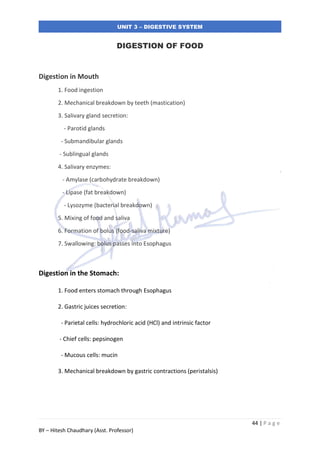 Digestive System - Unit 3 of Anatomy & Physiology for Nursing Students ...