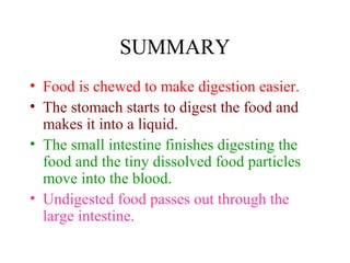 Digestive system[1] | PPT