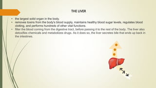 Digestive system (1).pptx