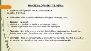 Digestive system (1).pptx