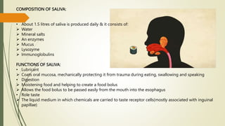Digestive system (1).pptx