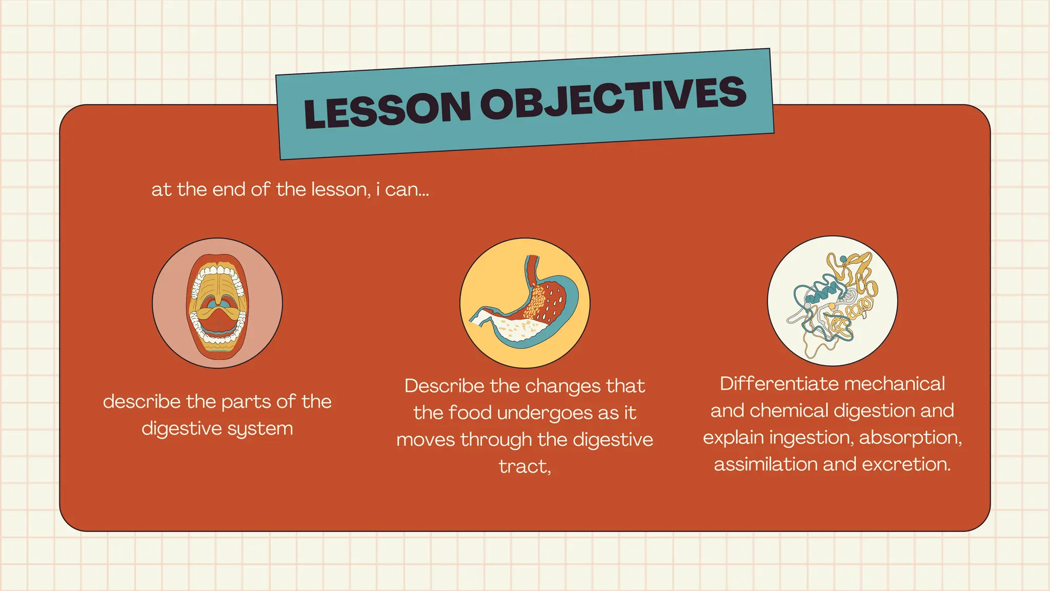 DIGESTIVE SYSTEM; its parts and functions | PDF