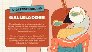 DIGESTIVE SYSTEM; its parts and functions | PDF