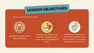 DIGESTIVE SYSTEM; its parts and functions | PDF