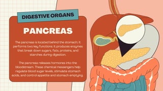 DIGESTIVE SYSTEM; its parts and functions | PDF