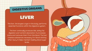 DIGESTIVE SYSTEM; its parts and functions | PDF