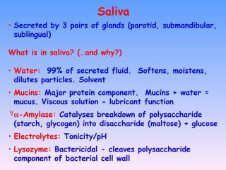 Human GI tract Digestive System Part 1.ppt
