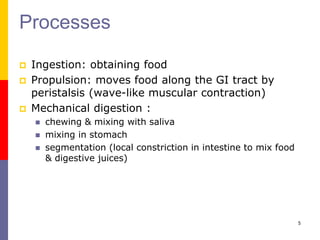 Digestive system (1) (1)_042113.ppt