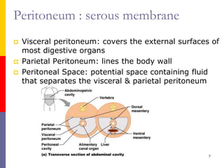 Digestive system (1) (1)_042113.ppt